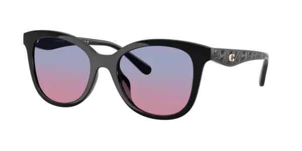 COACH Cat Eye Sunglasses - Blue Purple Gradient