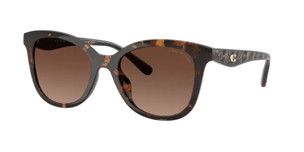 COACH Cat Eye Sunglasses - Brown Gradient Polarized