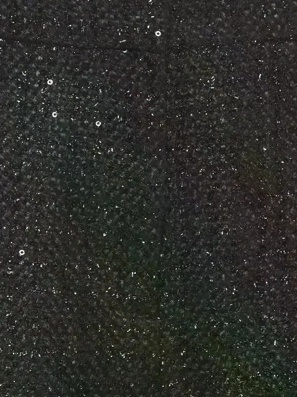 Maje Sequin-embellished Tweed Shorts