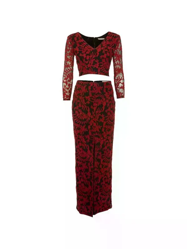 Alice + Olivia Embroidered Tulle Top And Skirt Set - Red