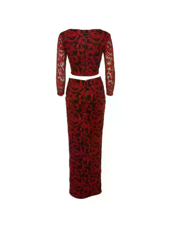 Alice + Olivia Embroidered Tulle Top And Skirt Set