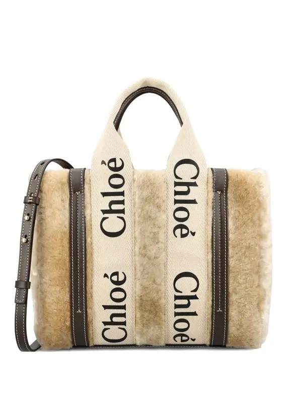Chloé Small Shearling Tote Bag - Sumerybeig