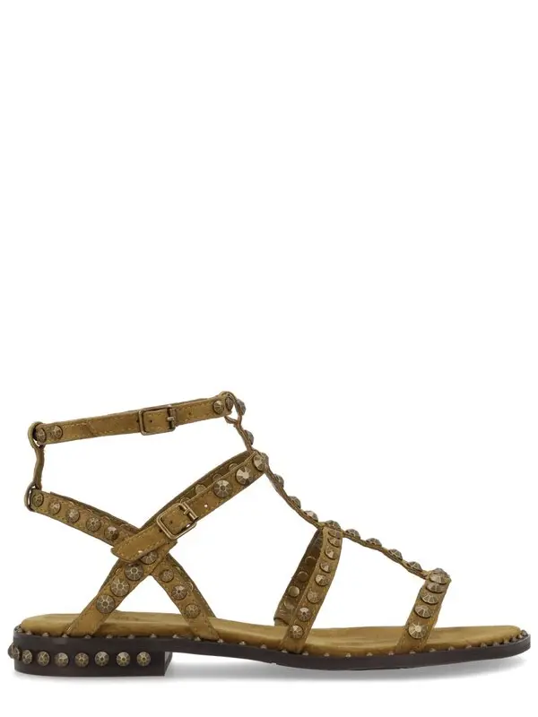 Ash Studded Gladiator Sandals - Green