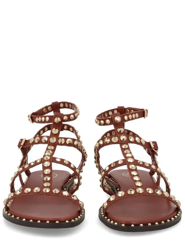 Ash Studded Gladiator Flat Sandals - Brown