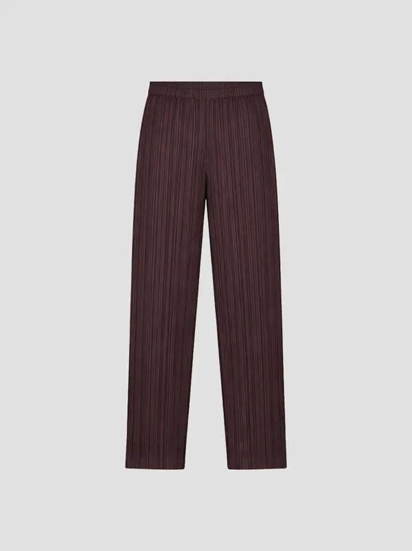 Issey Miyake Mini Pleated Pants - 84
