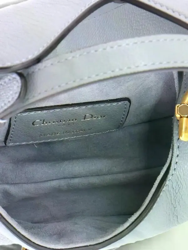 Dior Saddle Micro Shoulder Bag