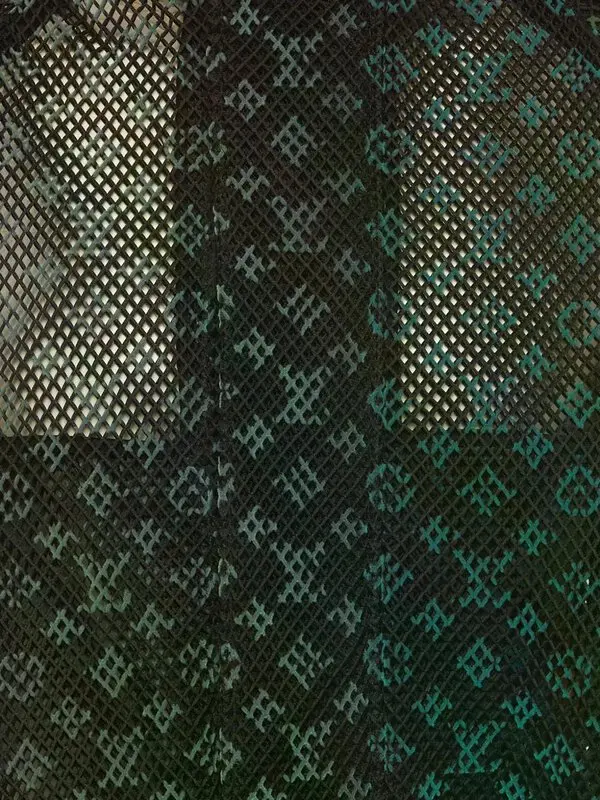 LOUIS VUITTON Monogram Mesh Hooded Jacket