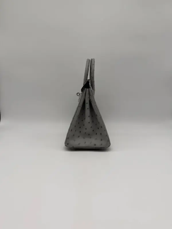Hermès Birkin Ostrich With Palladium Hardware