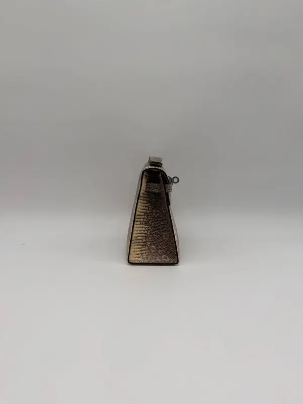 Hermès Kelly Lizard Ombre Palladium Hardware - Brown