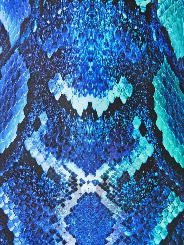 Camilla Snake Print V-neck Maxi Dress