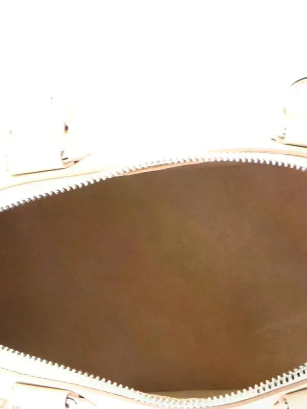 LOUIS VUITTON Alma Handbag