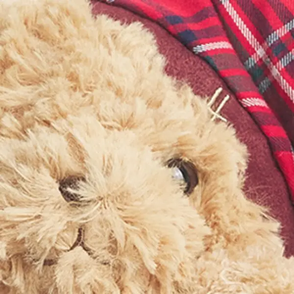 Harrods Tartan Pyjama Bear With Companion