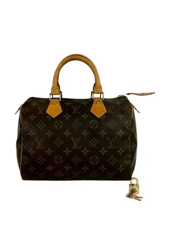 LOUIS VUITTON Monogram Speedy 25 Boston Bag