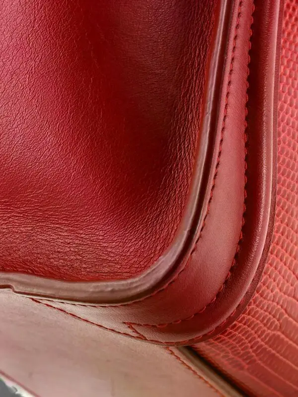 Celine Luggage Nano Tote Bag In Lizard And Leather - Red