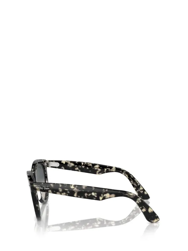 Ray-ban Wayfarer Way Round Sunglasses