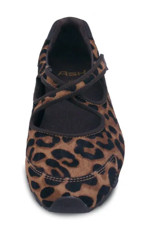 Ash Kore Mary Jane Genuine Calf Hair Flat - Leopard