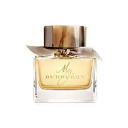 Burberry Eau De Parfum Spray 3.0 Oz