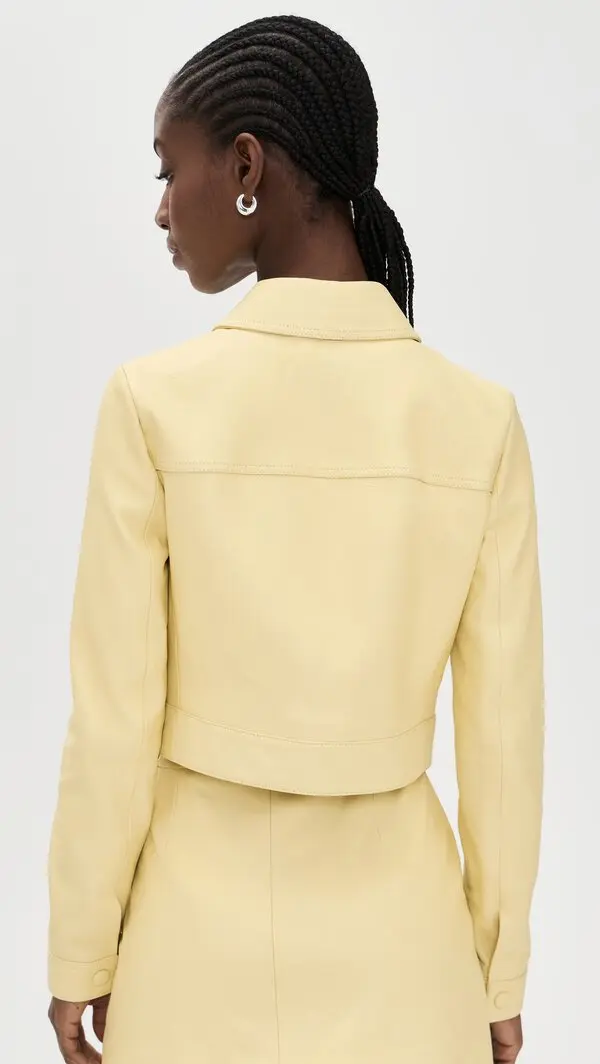 FRAME The Small Leather Jacket