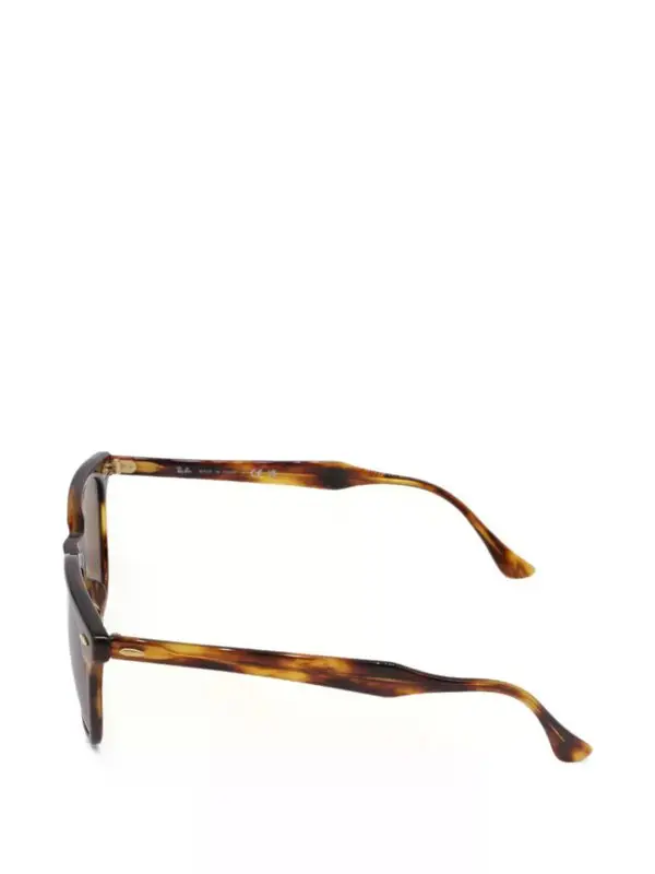 Ray-ban Hawkeye Sunglasses - Brown