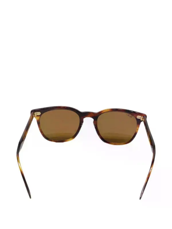 Ray-ban Hawkeye Sunglasses