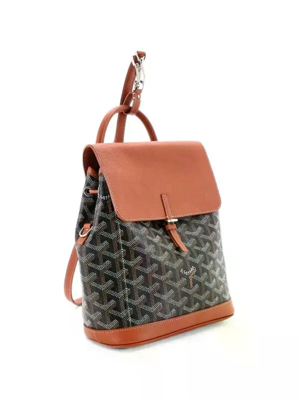 Goyard Alpin Mini Backpack In Coated Canvas