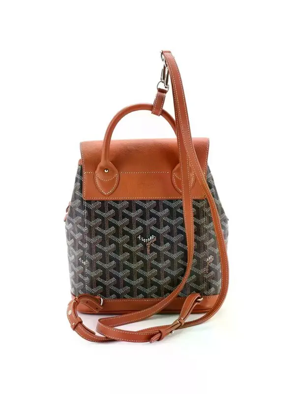Goyard Alpin Mini Backpack In Coated Canvas - Brown