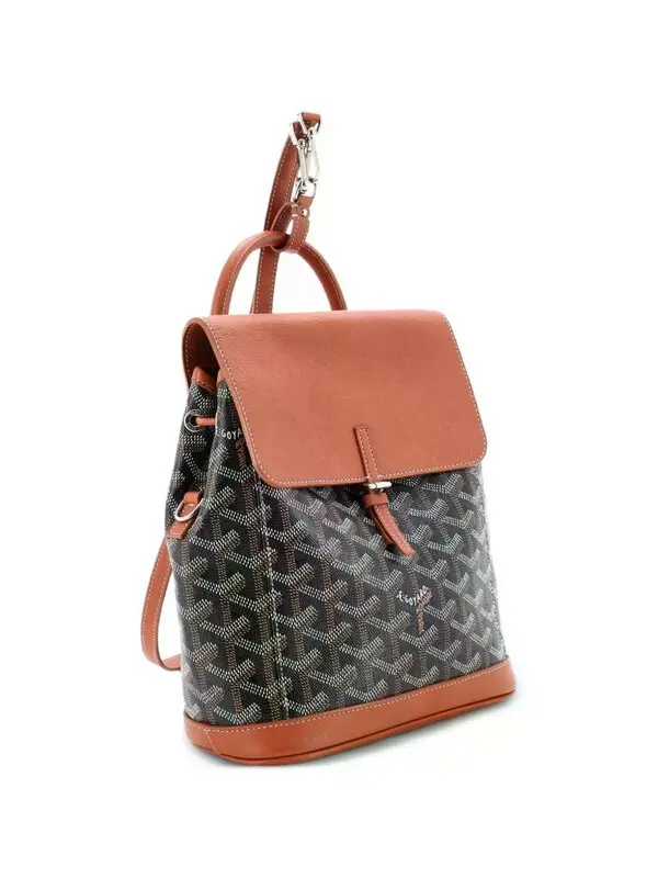 Goyard Alpin Mini Backpack In Coated Canvas - Brown