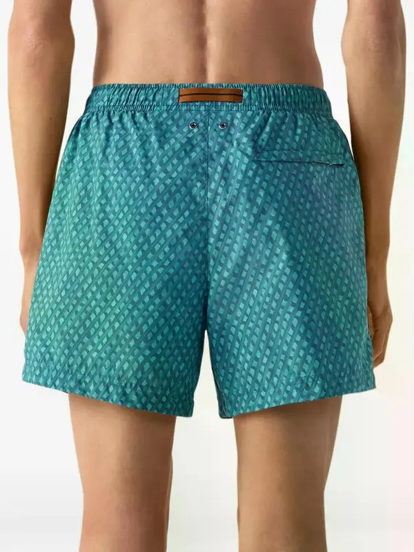 Zegna Oasi Pattern Swim Trunks