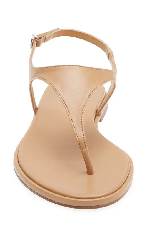 AeydĒ Raine Leather Thong Sandal - Hazelnut