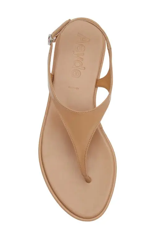AeydĒ Raine Leather Thong Sandal - Hazelnut