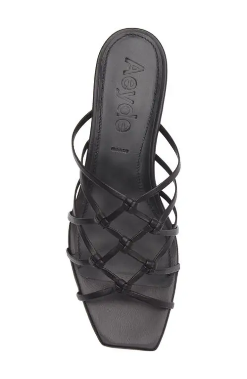 AeydĒ Talha Sandal
