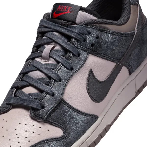Nike Dunk Low Retro Shoes