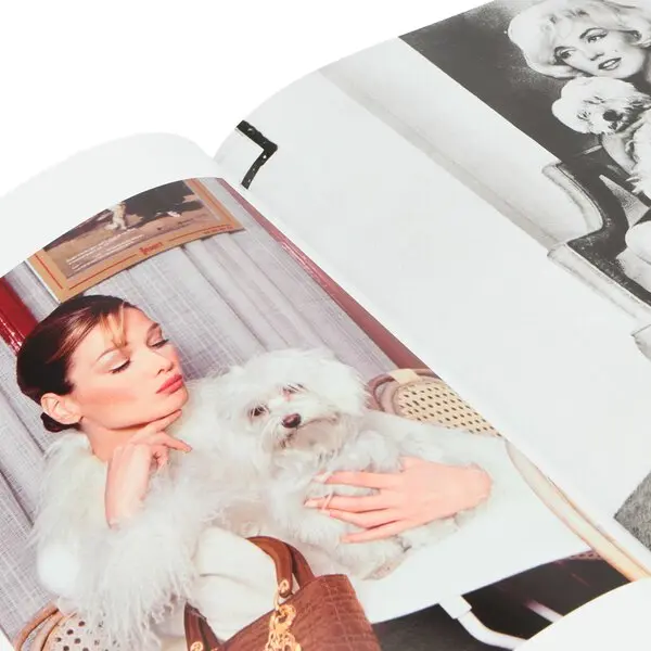 Assouline Chic Dogs