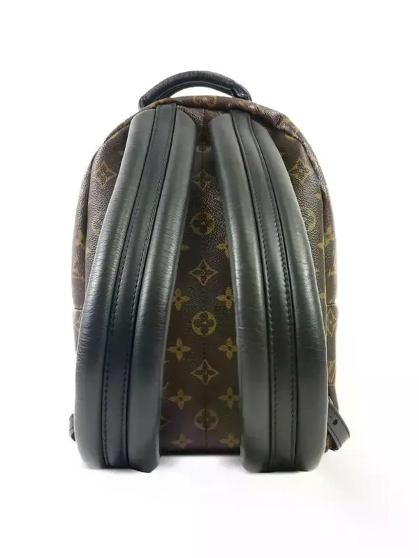 LOUIS VUITTON Palm Springs Monogram Backpack