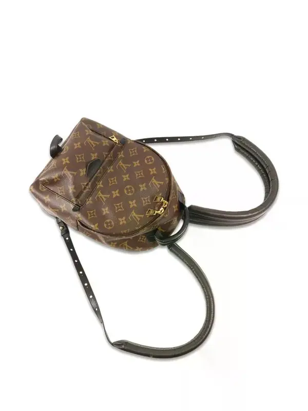 LOUIS VUITTON Palm Springs Monogram Backpack