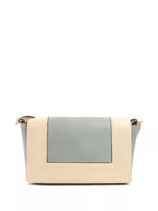Celine Medium Frame Shoulder Bag - Neutrals