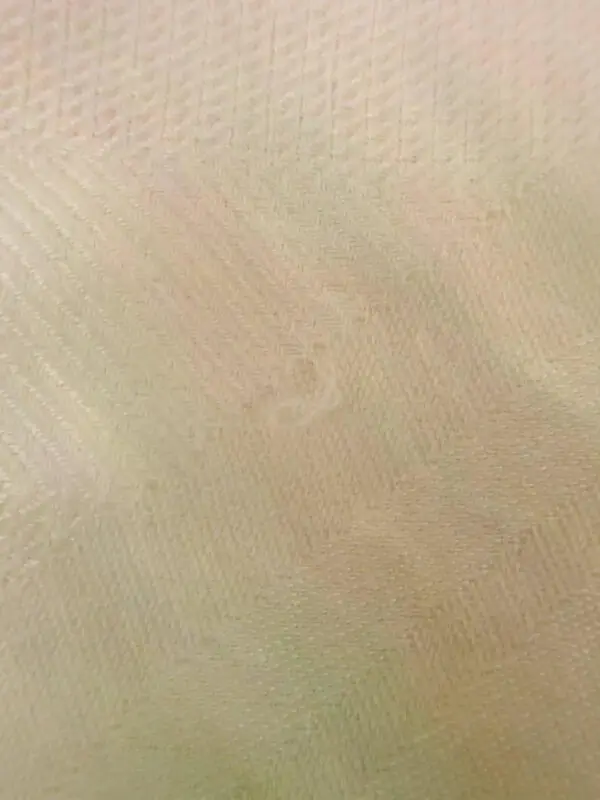 Hermès Fringed Scarf