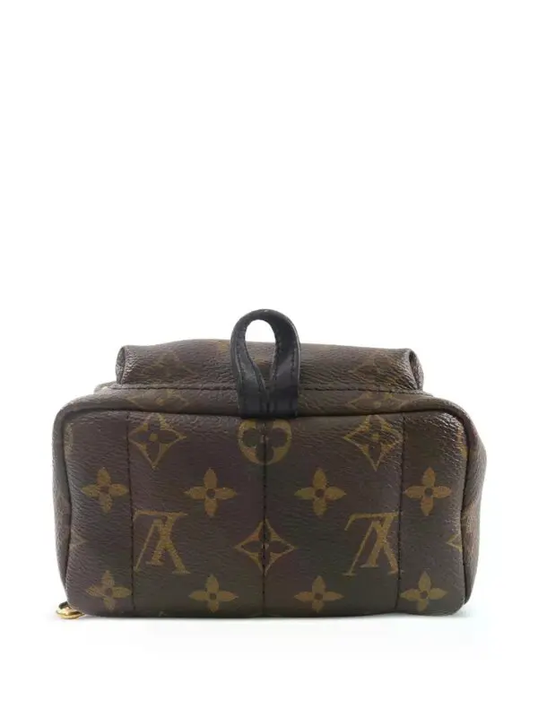 LOUIS VUITTON Palm Springs Backpack - Brown