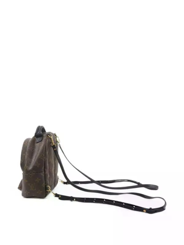 LOUIS VUITTON Palm Springs Backpack - Brown