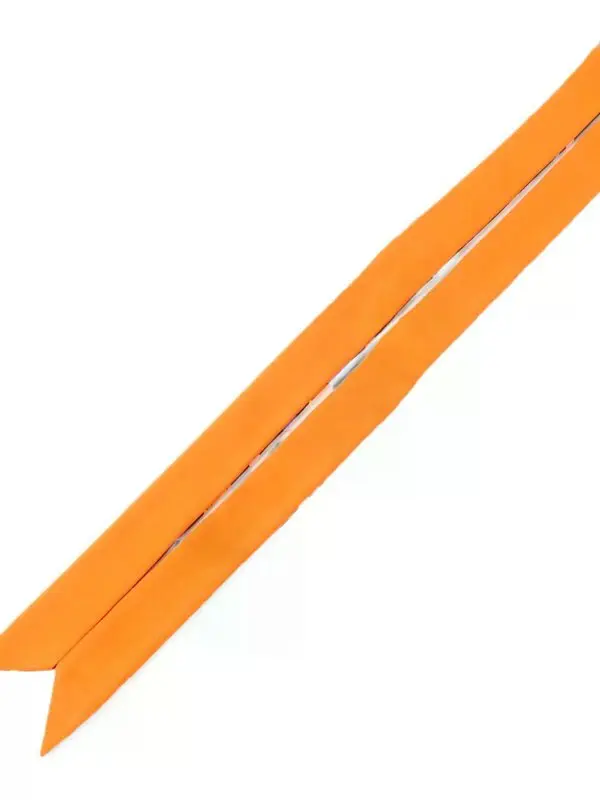 Hermès Twillon Printed Scarf