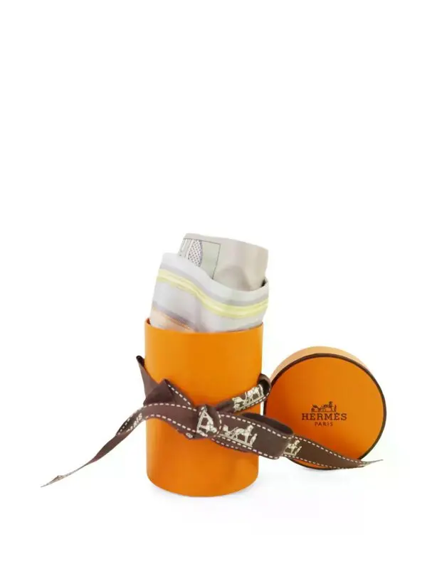 Hermès Twilly Pencil-print Scarf