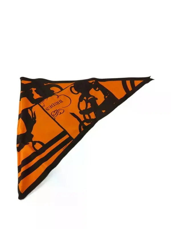 Hermès Triangle Scarf