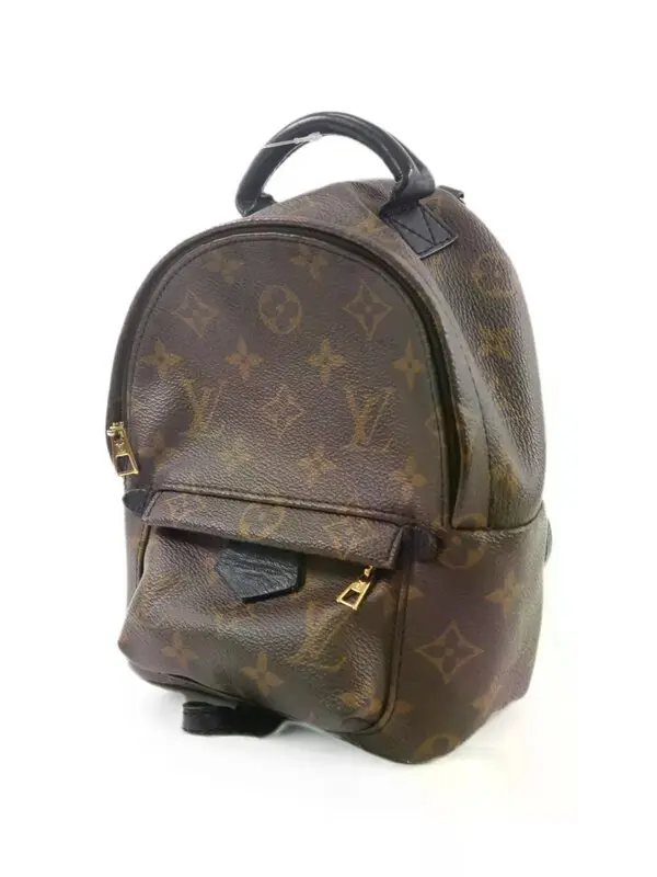 LOUIS VUITTON Palm Springs Backpack