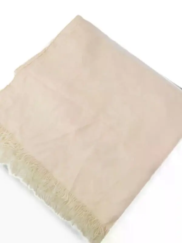 Hermès Fringed Scarf