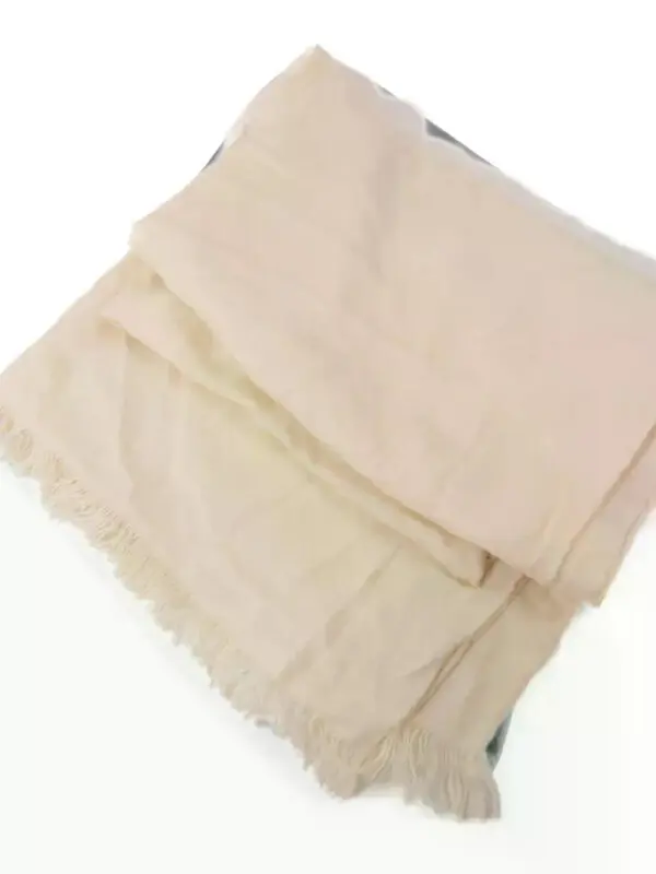 Hermès Fringed Scarf