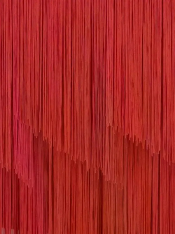 TOM FORD Fringed Tie Midi Skirt - Red