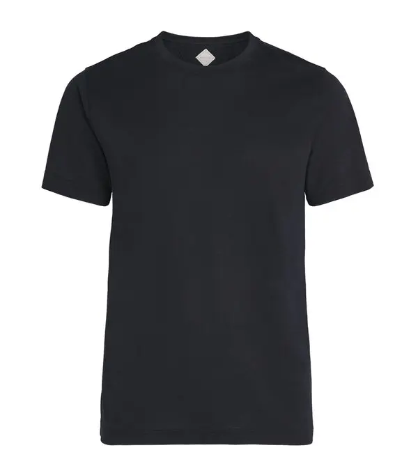 Pal Zileri Cotton T-shirt - Grey