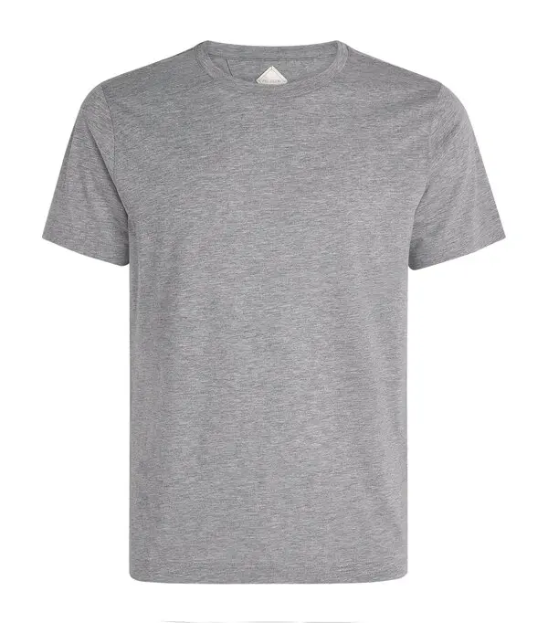 Pal Zileri Crew-neck T-shirt - Grey