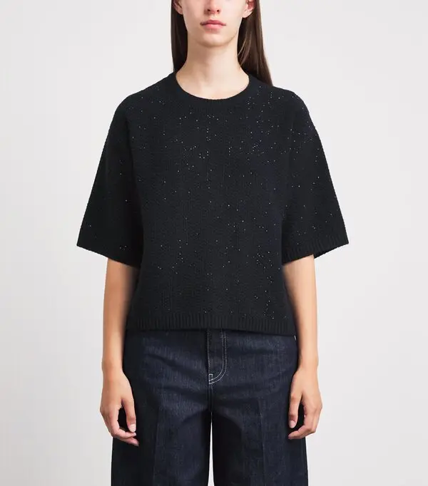 Fabiana Filippi Wool-blend Sequin Sweater