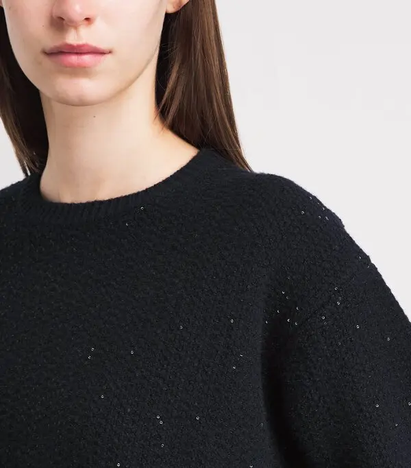 Fabiana Filippi Wool-blend Sequin Sweater - Blue